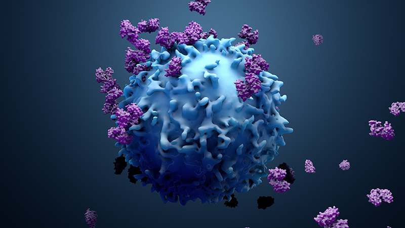 New Cancer Treatment Looks Promising for All Cancer Types